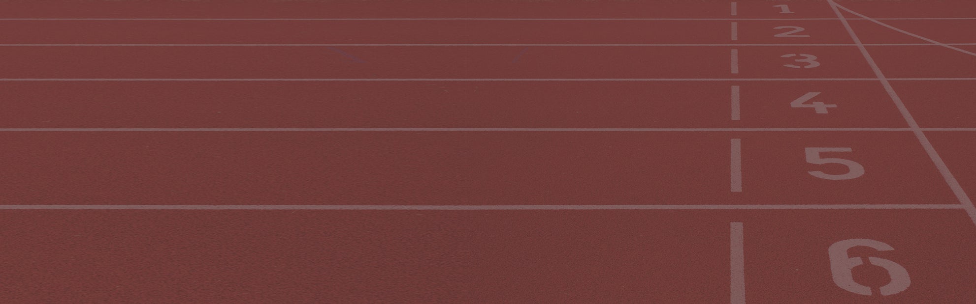 Elite Track and Field Spikes - Running Warehouse