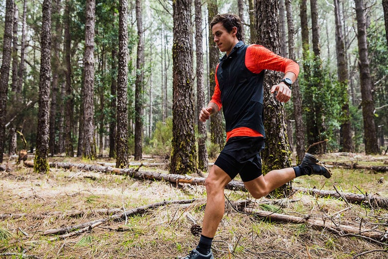 Garmin fenix 7 Buying Guide | Running Warehouse
